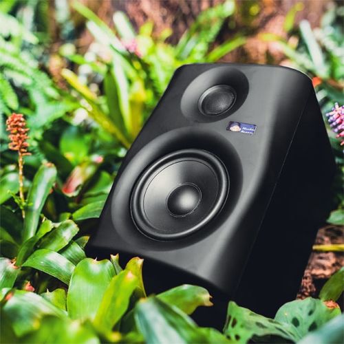 Monkey Banana Gibbon 5 | Confronta prezzi | Trovaprezzi.it