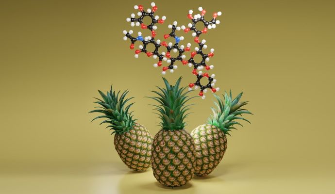 Ananas:brucia grassi oppure no?