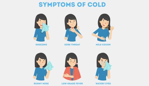 Raffreddore: cause, sintomi e cosa prendere per farlo passare