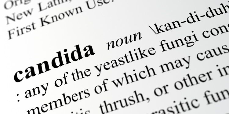 Cos'è la Candida albicans e come trattarla