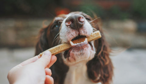 Quali Coupon Bauzaar utilizzare su Trovaprezzi.it