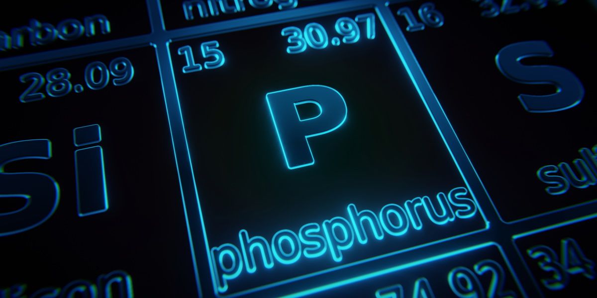 Fosforo: a cosa serve e come integrarlo