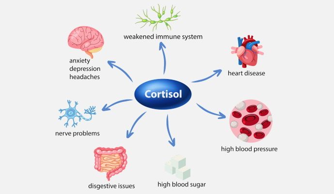 Come abbassare il cortisolo?