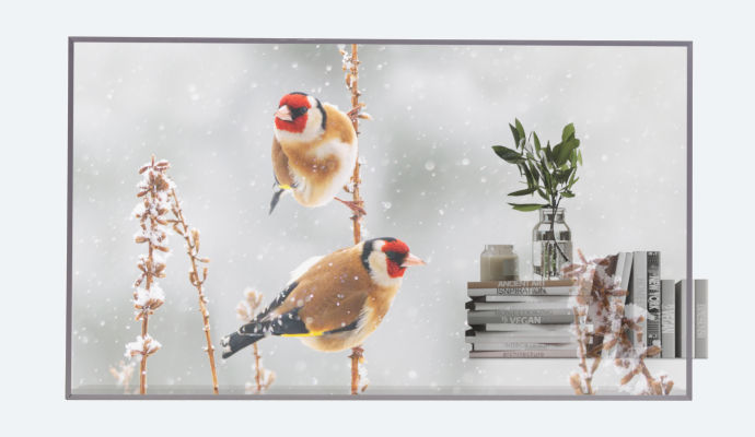 LG lancia il display Transparent OLED Signage da 55 pollici