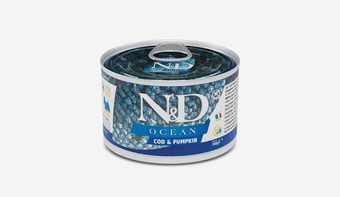 Alimentazione del cane in estate: cosa fare?