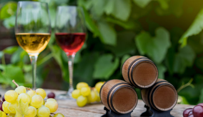 Vinitaly 2026, numeri e tendenze dal mondo del vino
