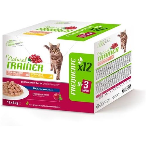 Trainer Natural Hairball Adult Gatto (Salmone-Pollo) - umido ...