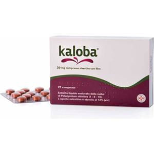Schwabe Pharma Kaloba 20mg 21 compresse rivestite | Confronta prezzi ...